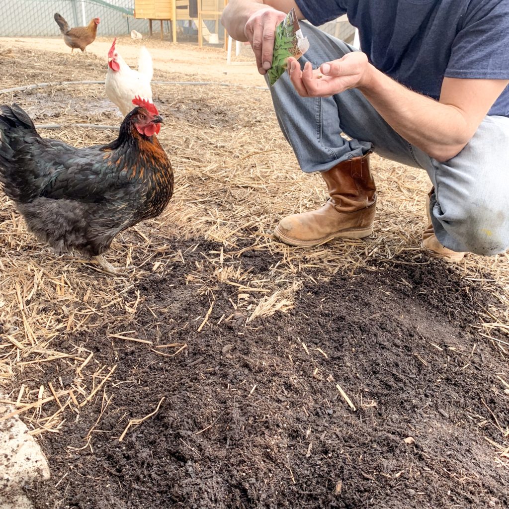 Seed Exchange Package Guide for the Homesteader