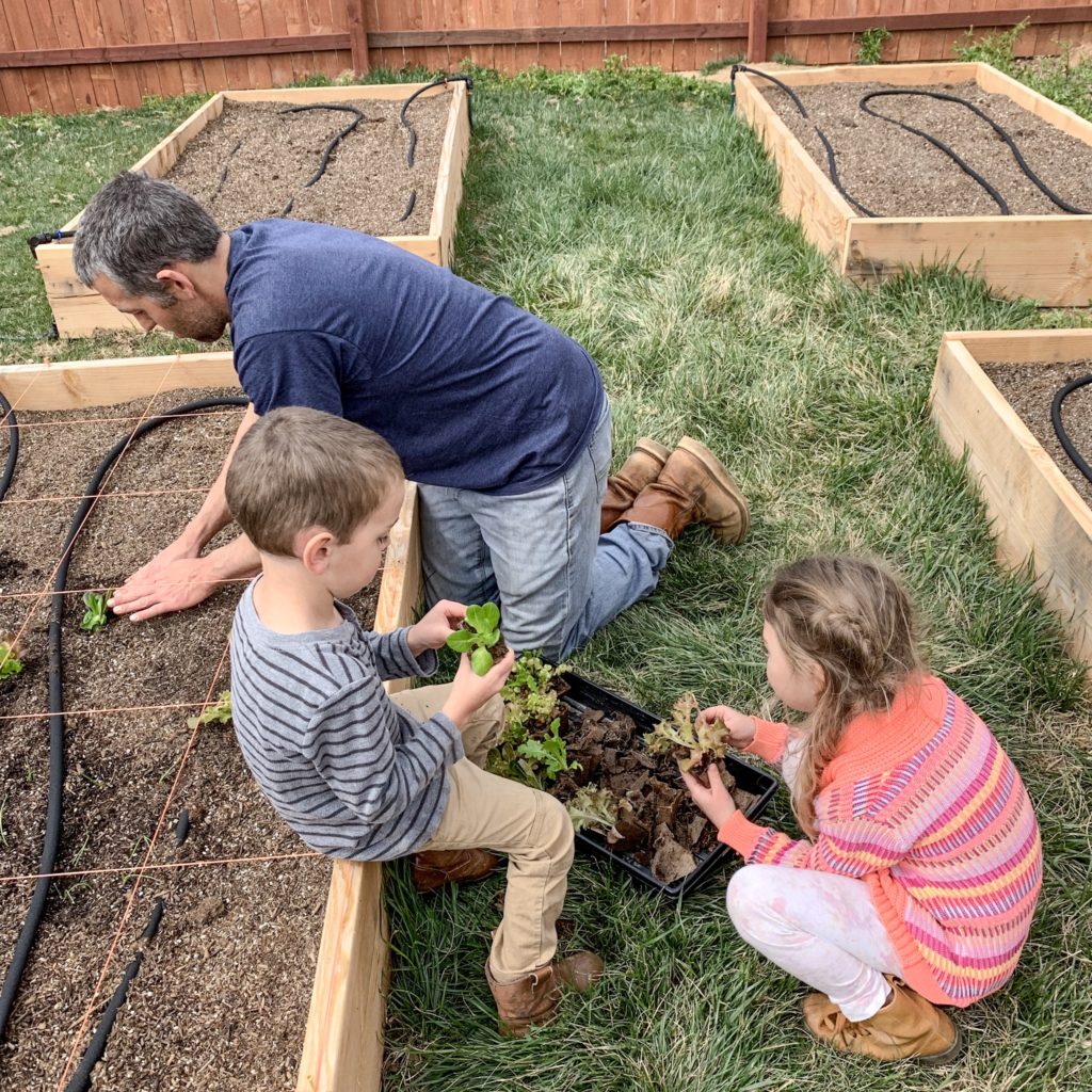 First Time Gardener, Seed Exchange Package Guide – She's Rooted Home