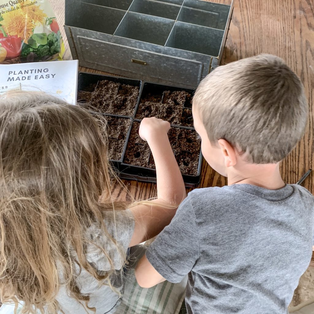 The Seed Starter, Seed Exchange Package Guide