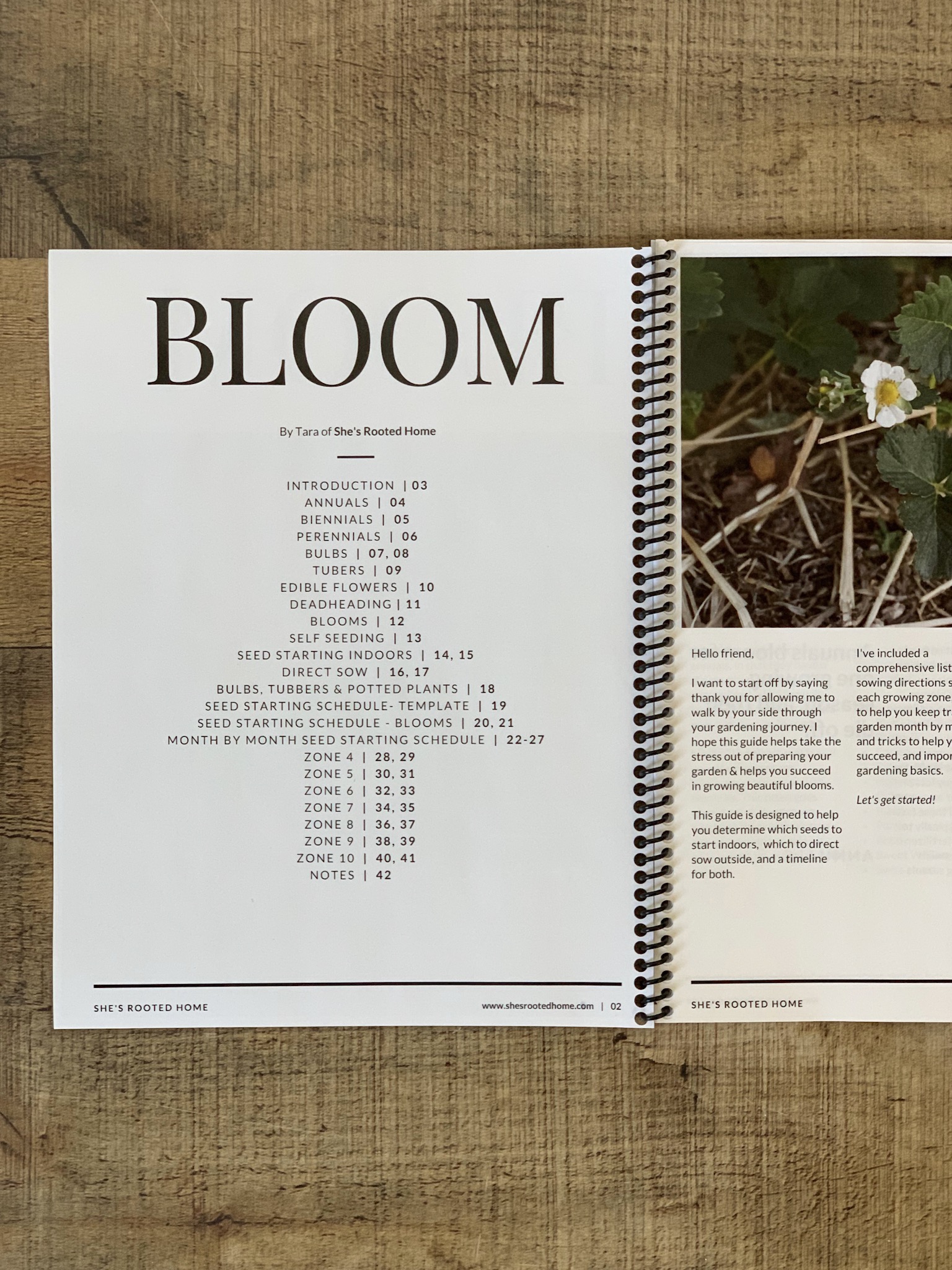 BLOOM – A Flower Seed Starting Guide