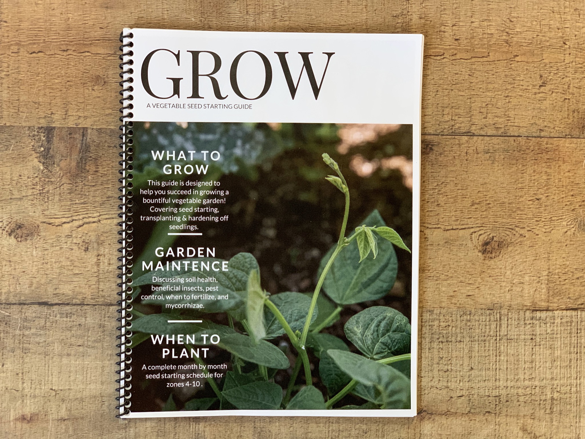 GROW – A Vegetable Seed Starting Guide – She's Rooted Home